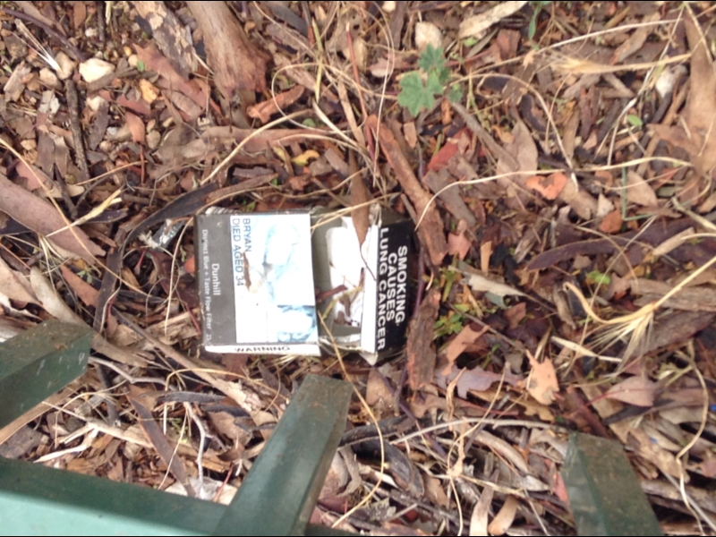 WALKABILITY- AUDIT PROJECT - Walking Maps