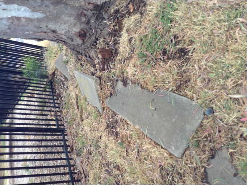 WALKABILITY- AUDIT PROJECT - Walking Maps