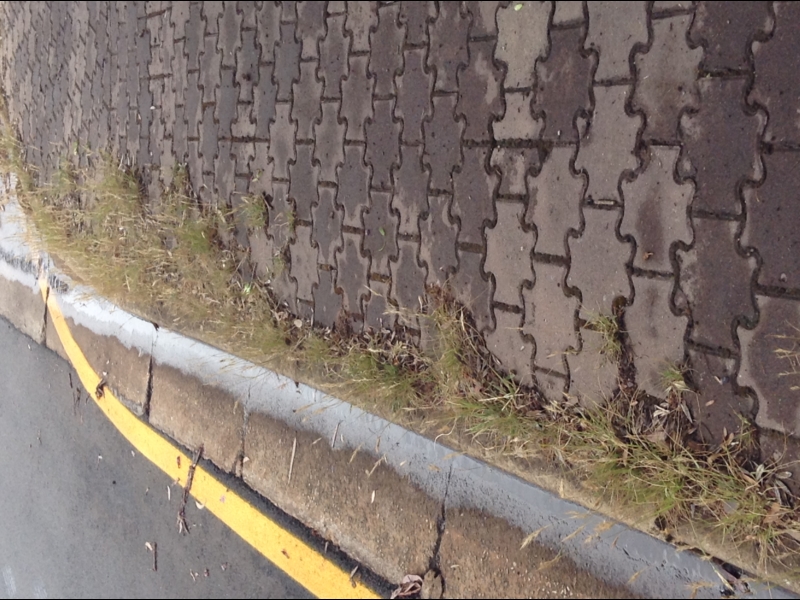 Walkability Audit project - Walking Maps