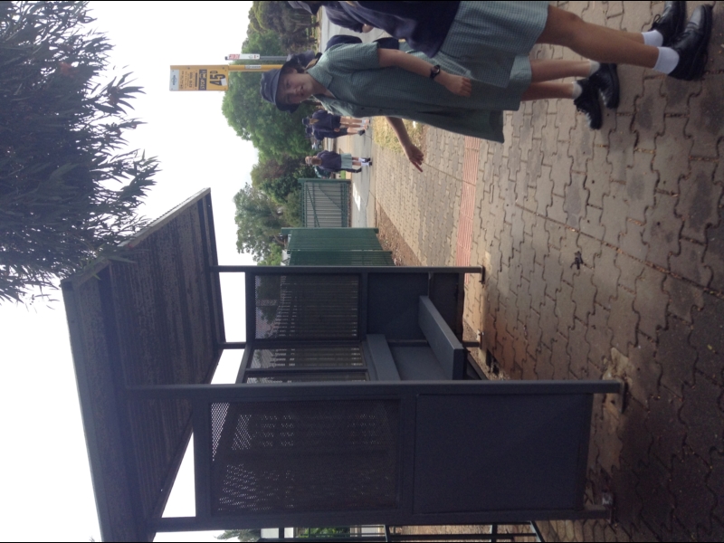 Walkability Audit project - Walking Maps