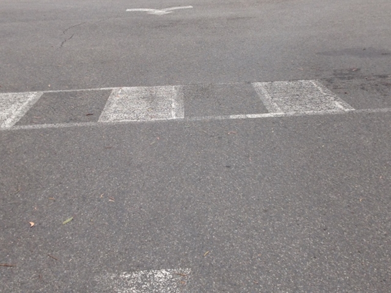 Walkability Audit project - Walking Maps