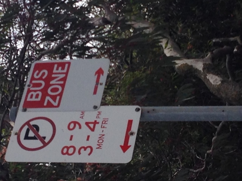 Walkability Audit project - Walking Maps