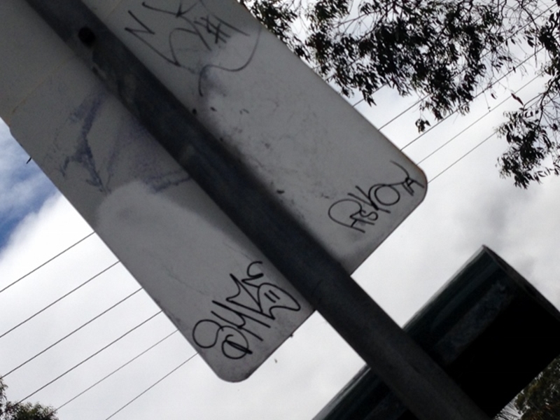 Walkability Audit project - Walking Maps