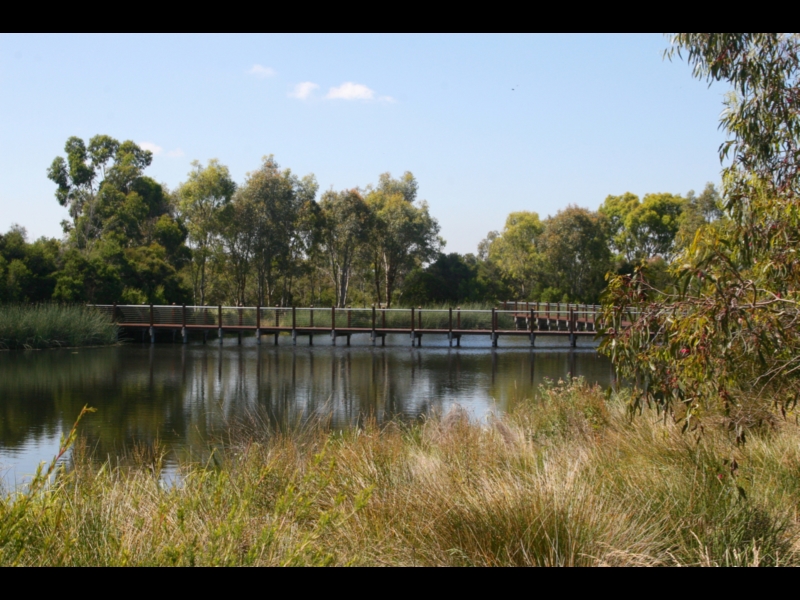 Tatterson Park wetlands loop - Walking Maps
