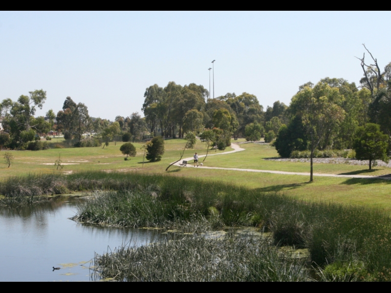 Tatterson Park wetlands loop - Walking Maps