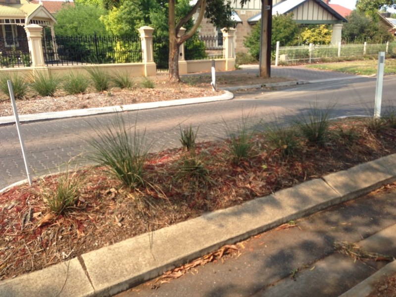 Prospect Walkability - Walking Maps