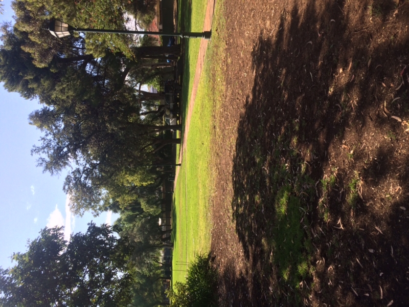 Walkability of Prospect. - Walking Maps