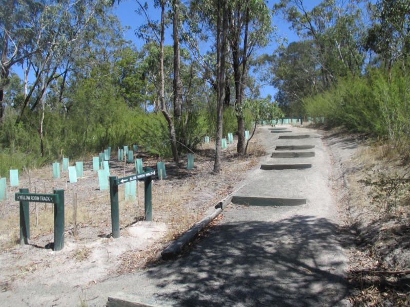 Crinigan Bushland Reserve - Walking Maps