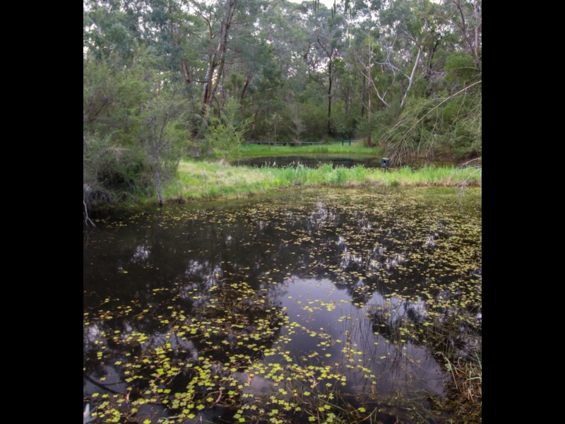 Crinigan Bushland Reserve - Walking Maps
