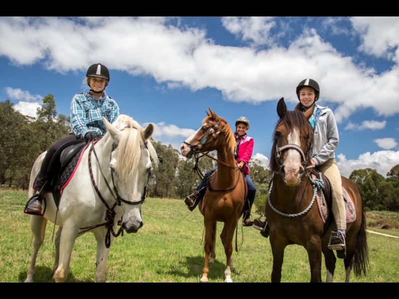 Toongabbie Town Track - Walking Maps