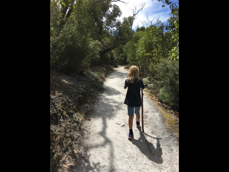Mt Bishop Summit Walk, Wilson's Promontory - Walking Maps