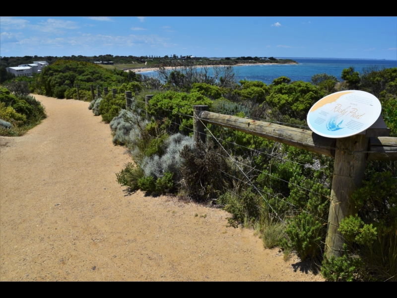 Surf Coasting Walk, Torquay Foreshore to Bird Rock, Jan Juc - Walking Maps