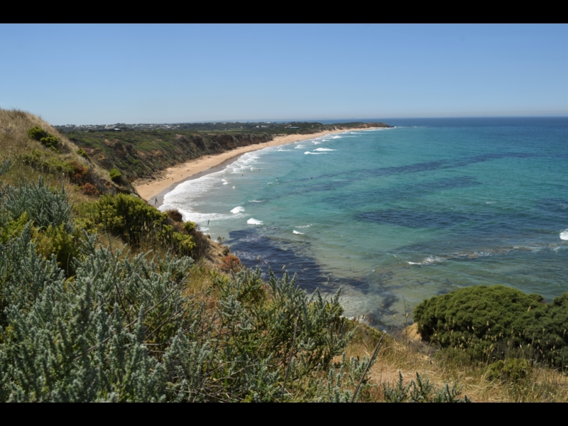 Surf Coasting Walk, Torquay Foreshore to Bird Rock, Jan Juc - Walking Maps