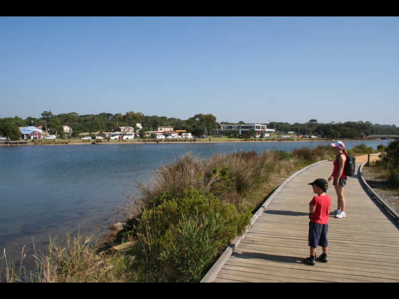 Anglesea Riverbanks Walk, along Anglesea River to the Anglesea Visitor ...
