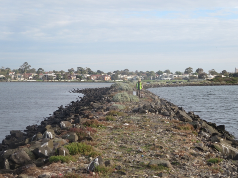 Sandy Point Conservation Area - Walking Maps