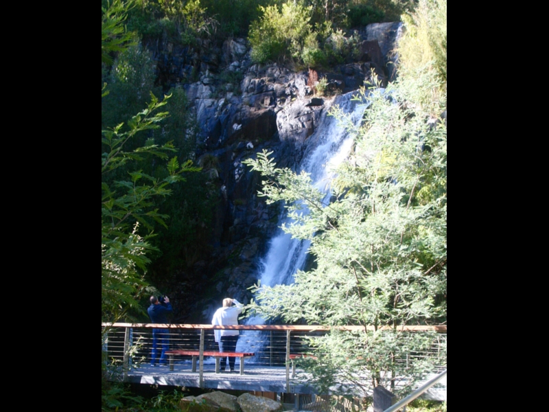 Steavenson Falls, Marysville - Walking Maps