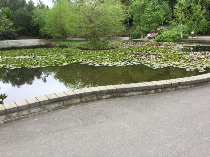 Wilson botanic park walk - Walking Maps