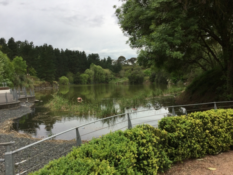 Wilson botanic park walk - Walking Maps