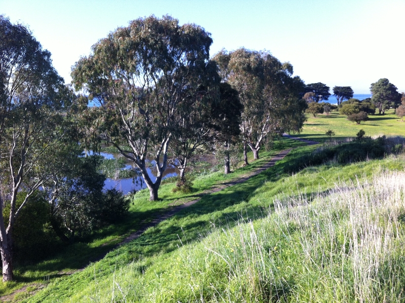 St Leonards Lake Reserve Trail - Walking Maps