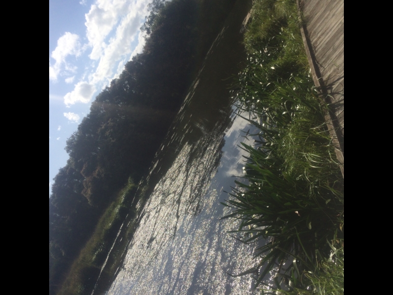 Beaconsfield area - Walking Maps