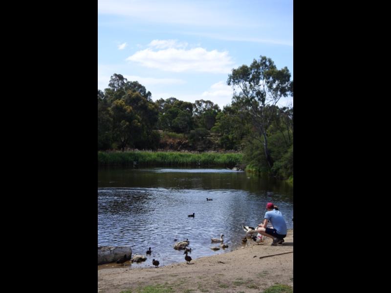 Sparks Reserve to Darebin Parklands - Walking Maps