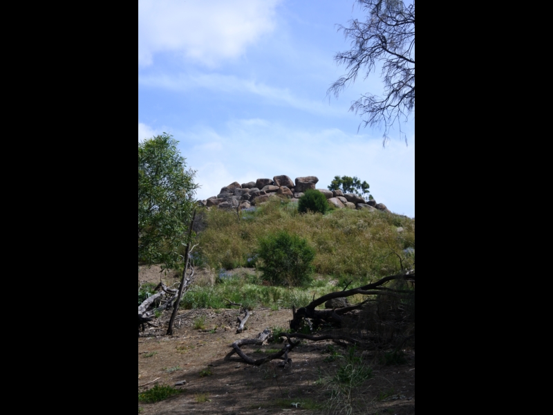 Sparks Reserve to Darebin Parklands - Walking Maps