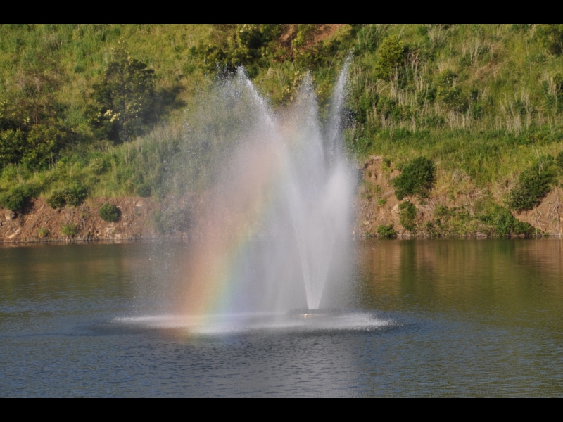Cardinia Lakes - Walking Maps