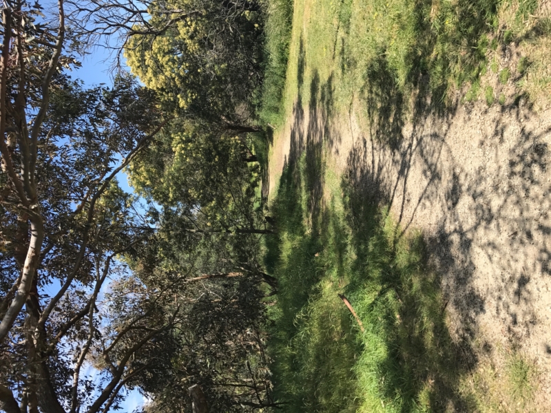 Pakenham Bridge to Bridge - Walking Maps