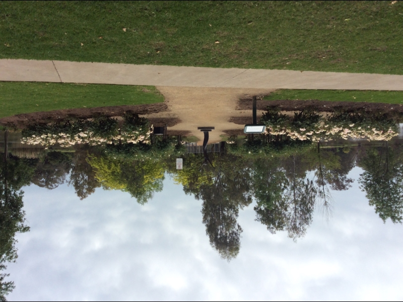 Sumsion Garden Walk - Walking Maps