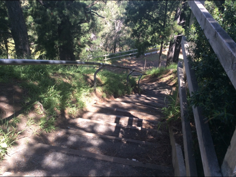 Wilson Botanic Park Walk - Walking Maps