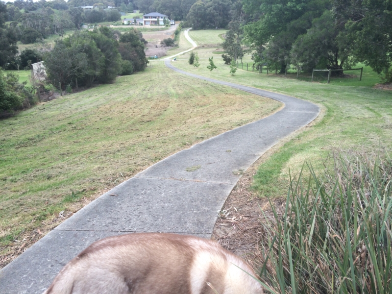Upper Beaconsfield walk - Walking Maps