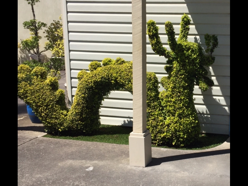 Let's Walk Braybrook Park - Walking Maps