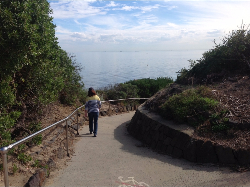 Black Rock Beach to Ricketts Point Marine Sanctuary - Walking Maps