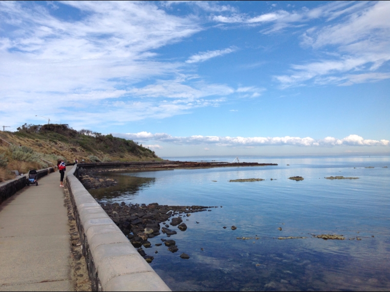 Black Rock Beach to Ricketts Point Marine Sanctuary - Walking Maps