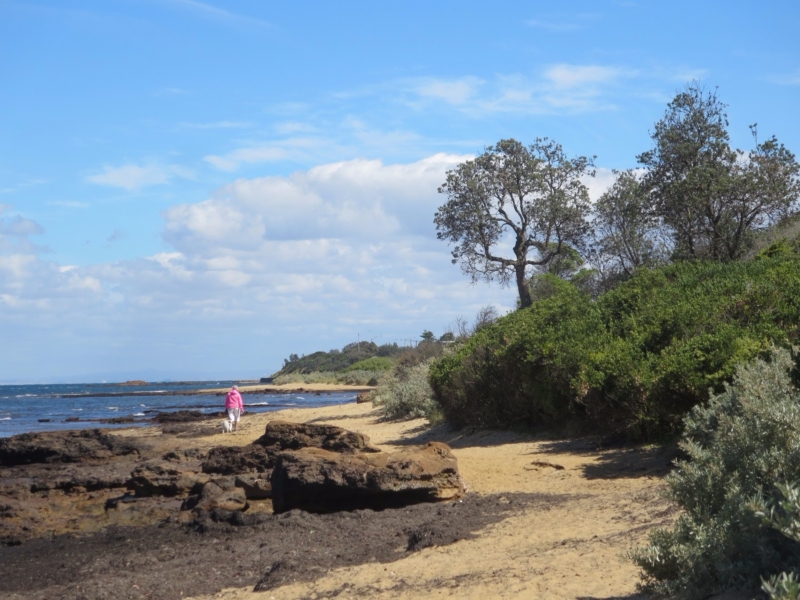 Black Rock Beach to Ricketts Point Marine Sanctuary - Walking Maps