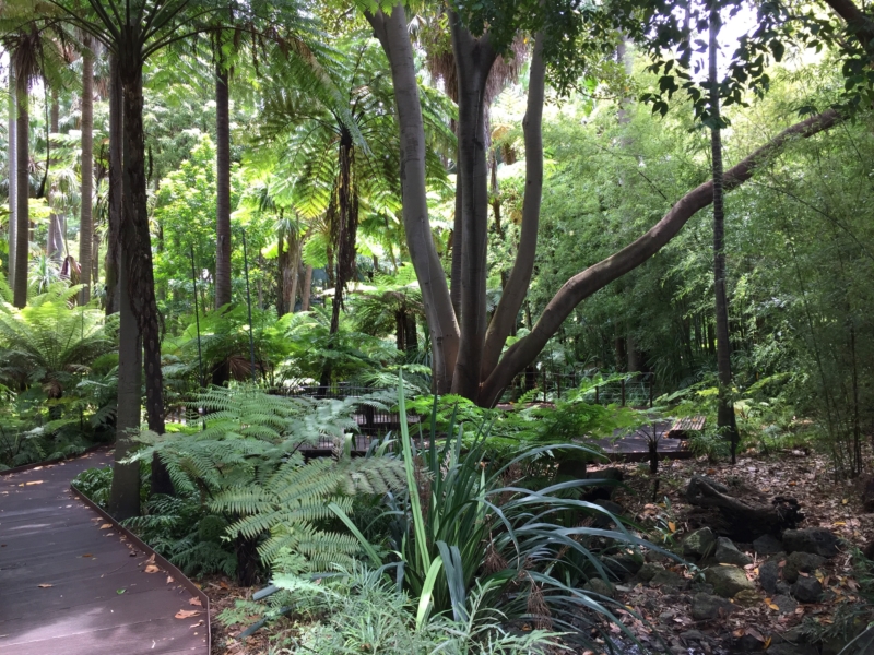 Melbourne city parks walk - Walking Maps