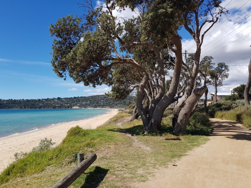 Safety Beach Dog Friendly Walk - Walking Maps