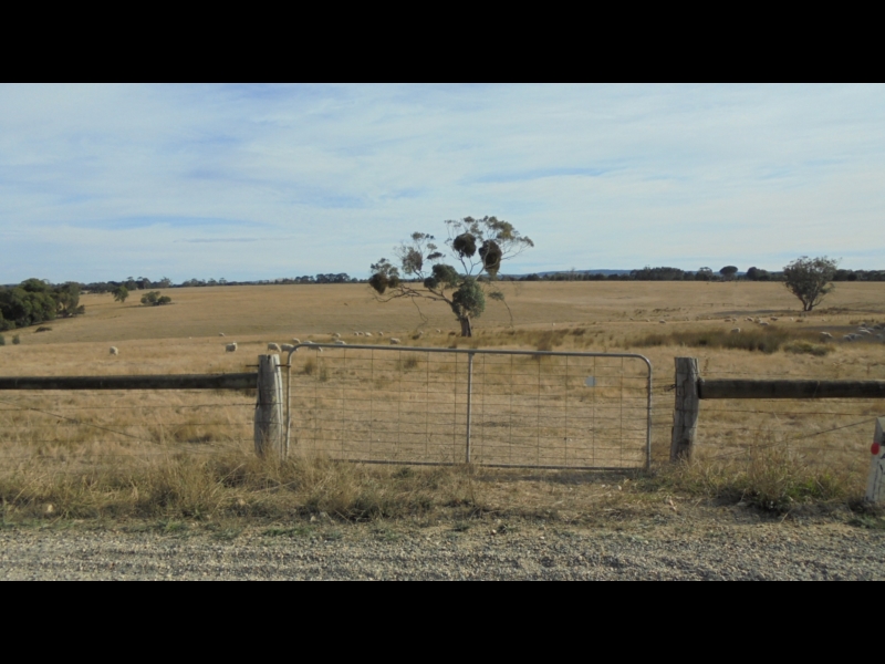 Bostock reservoir and Ballan Mineral Spring - Walking Maps