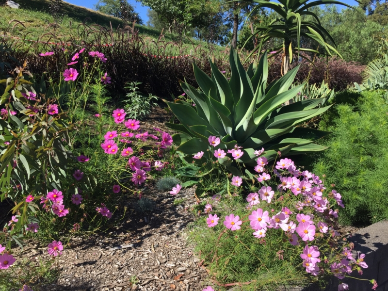 Wilson Botanic Park Walk, Berwick - Walking Maps