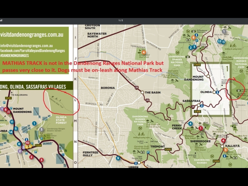 Mathias Track, dog-friendly walk, Olinda - Walking Maps