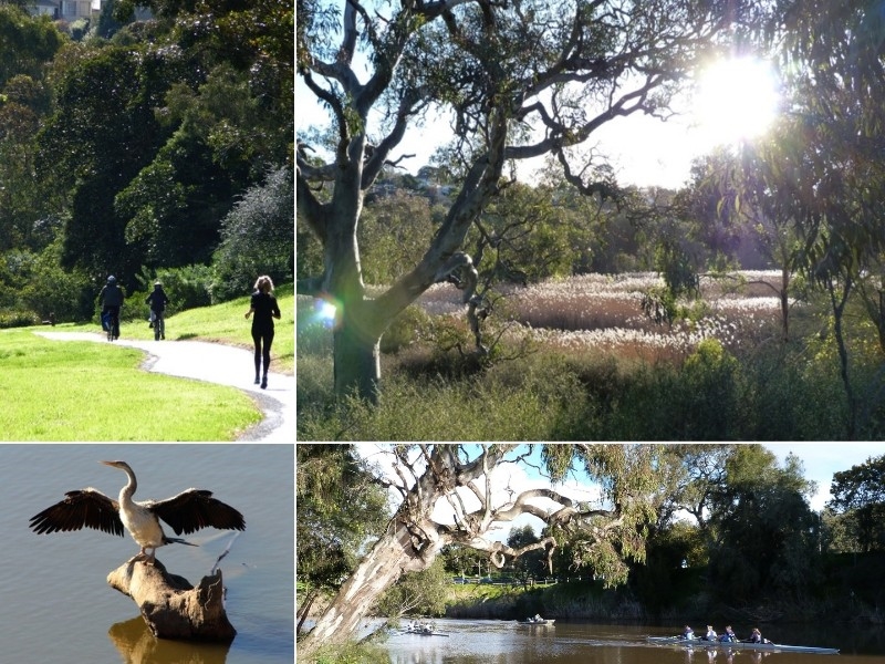 Barwon River Walk - Walking Maps