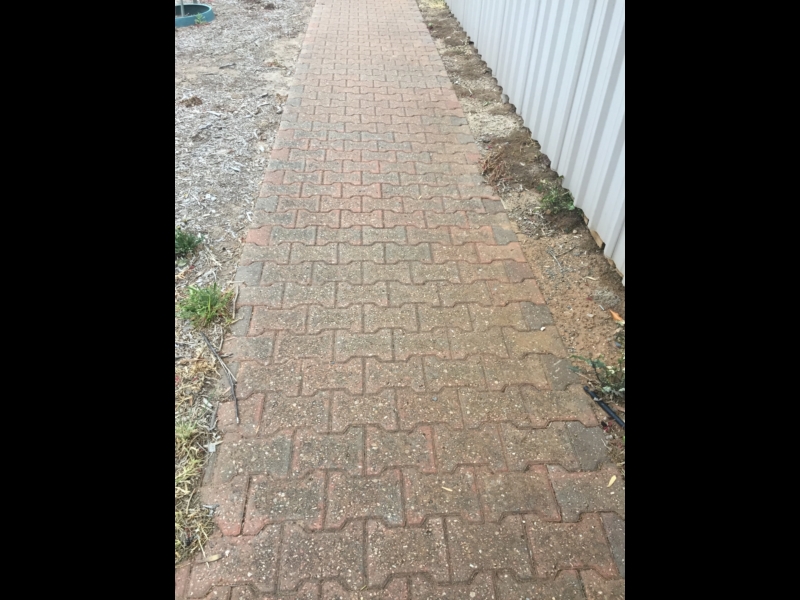 Walkability of Mitchell Park - Walking Maps