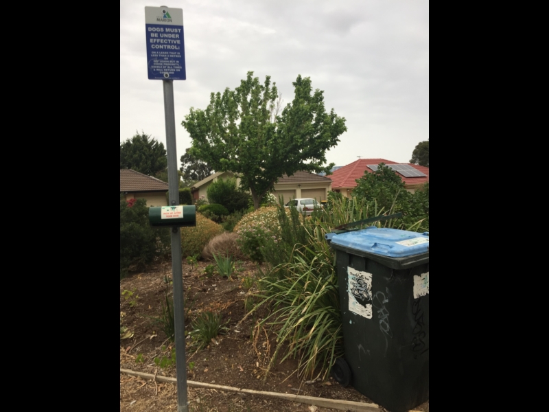 Walkability of Mitchell Park - Walking Maps