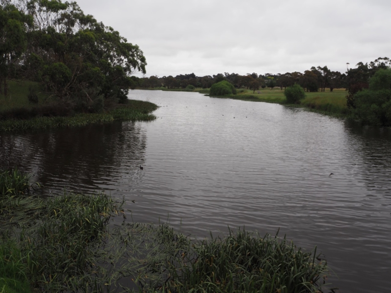 Lake Hamilton - Walking Maps