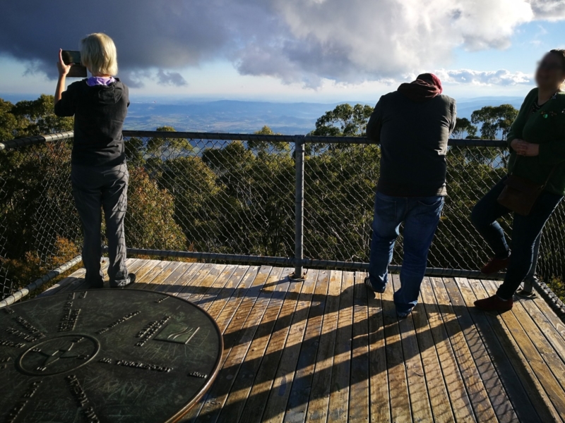 Mt St Leonard short walk, Yarra Ranges National Park - Walking Maps