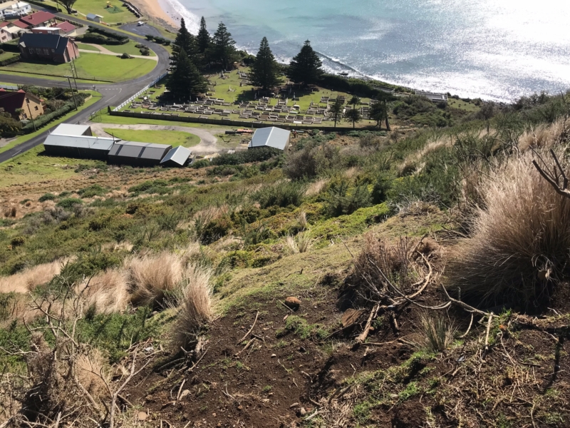 The Nut Walk, Stanley, Tasmania - Walking Maps