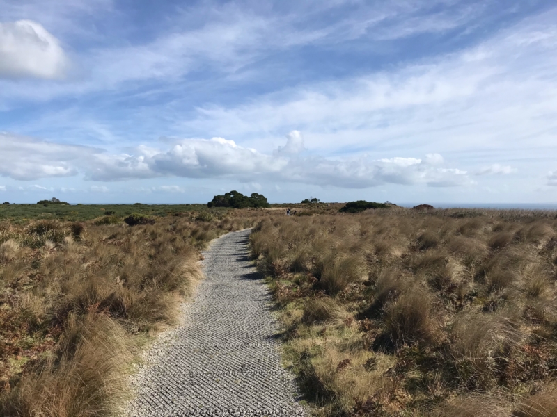 The Nut Walk, Stanley, Tasmania - Walking Maps