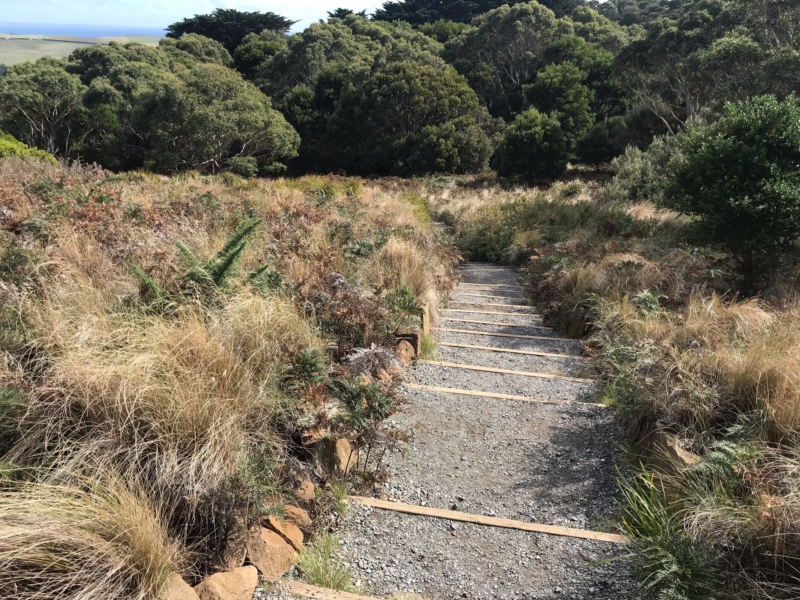 The Nut Walk, Stanley, Tasmania - Walking Maps