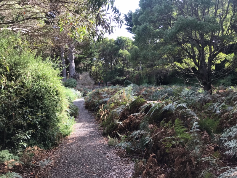 The Nut Walk, Stanley, Tasmania - Walking Maps