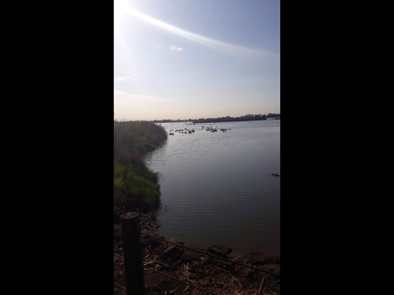 Cherry Lake - Walking Maps